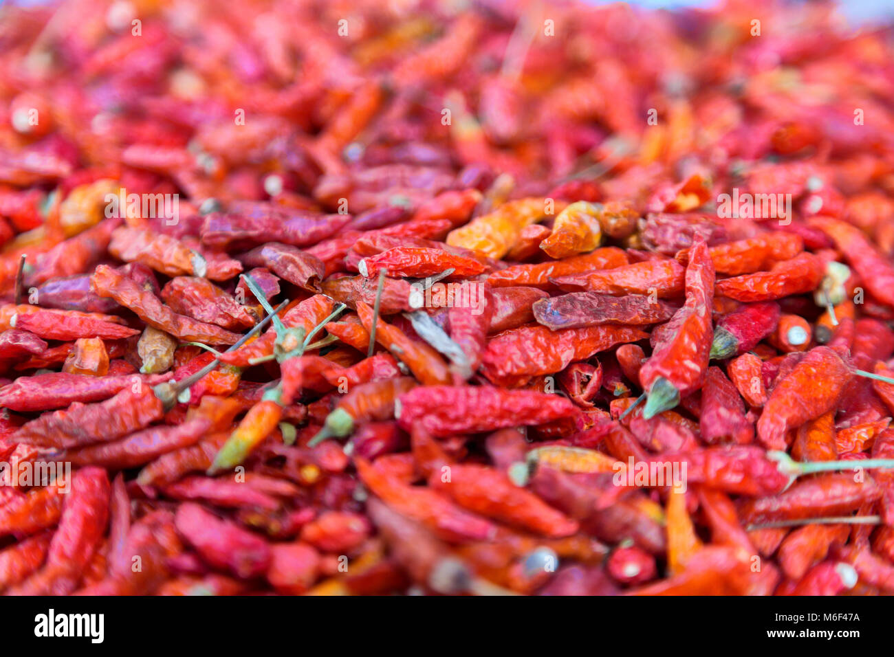blurred abstract background texture of a chilli pepper in the market ...