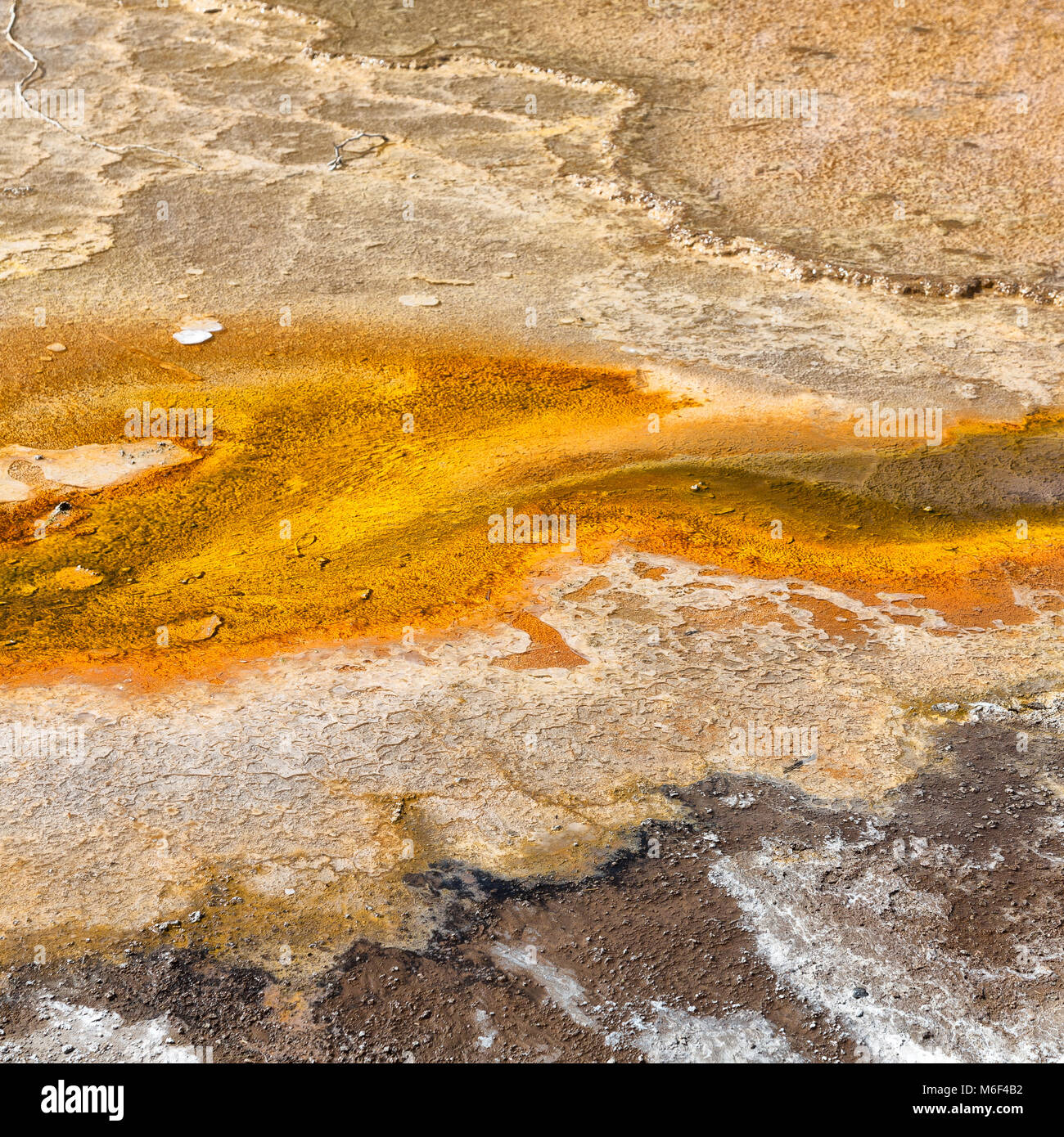 in danakil ethiopia africa the volcanic depression of dallol and pole ...