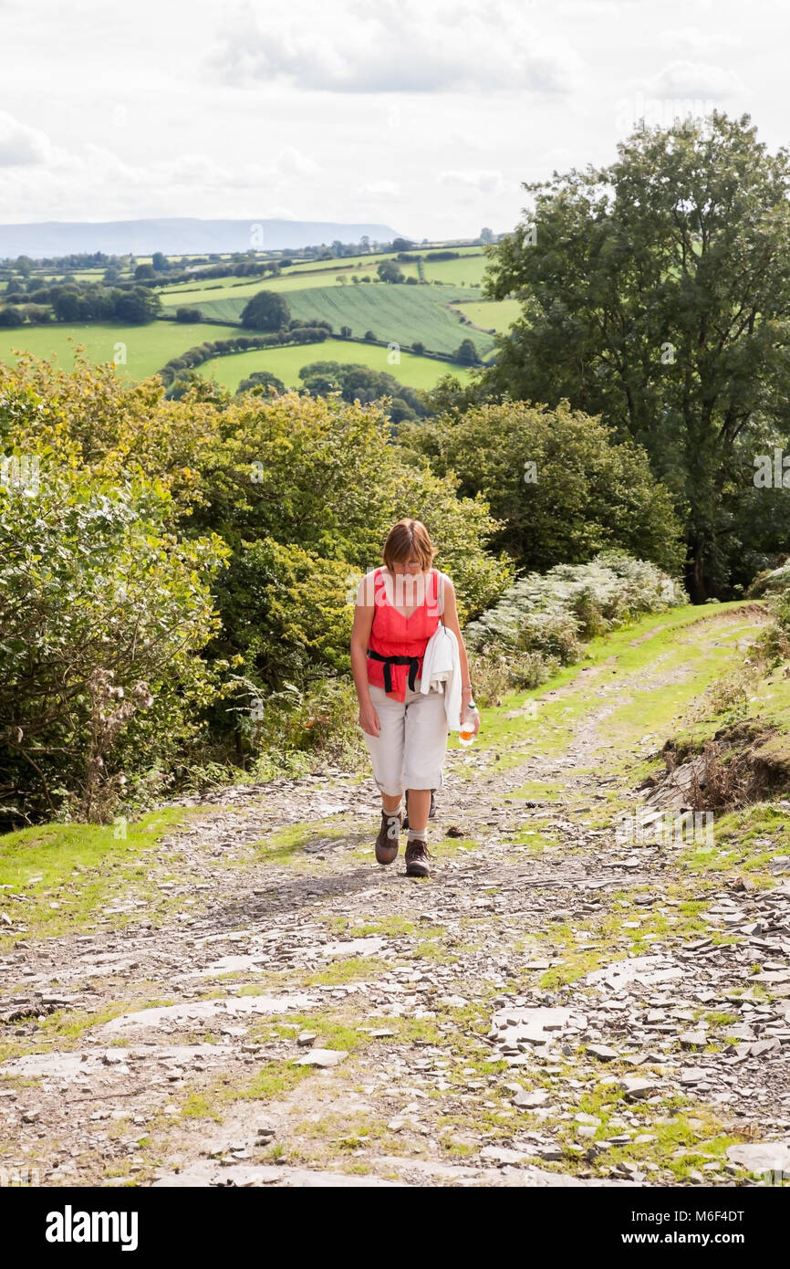Hergest ridge footpath hi-res stock photography and images - Alamy