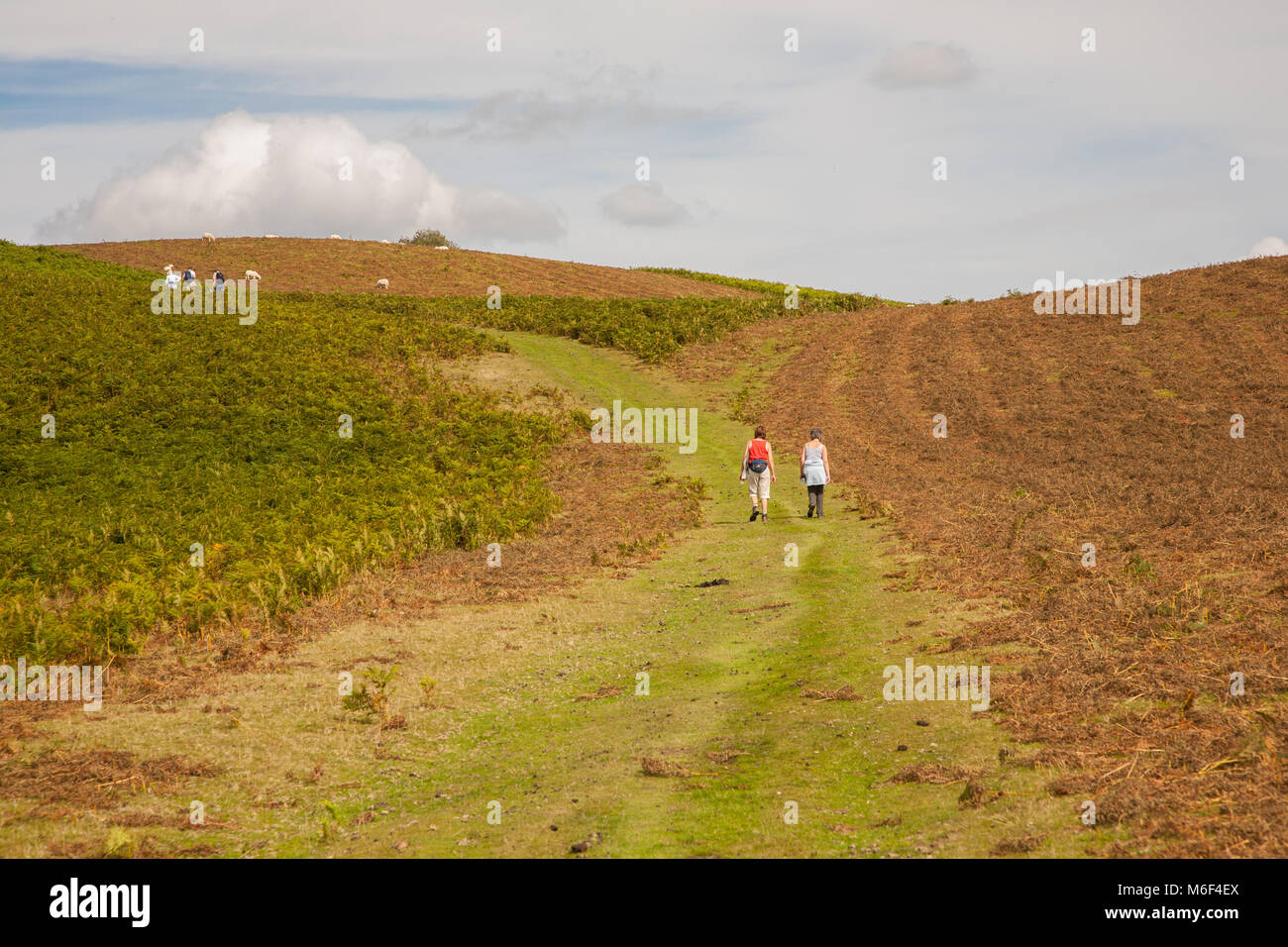 Approach distance hi-res stock photography and images - Alamy