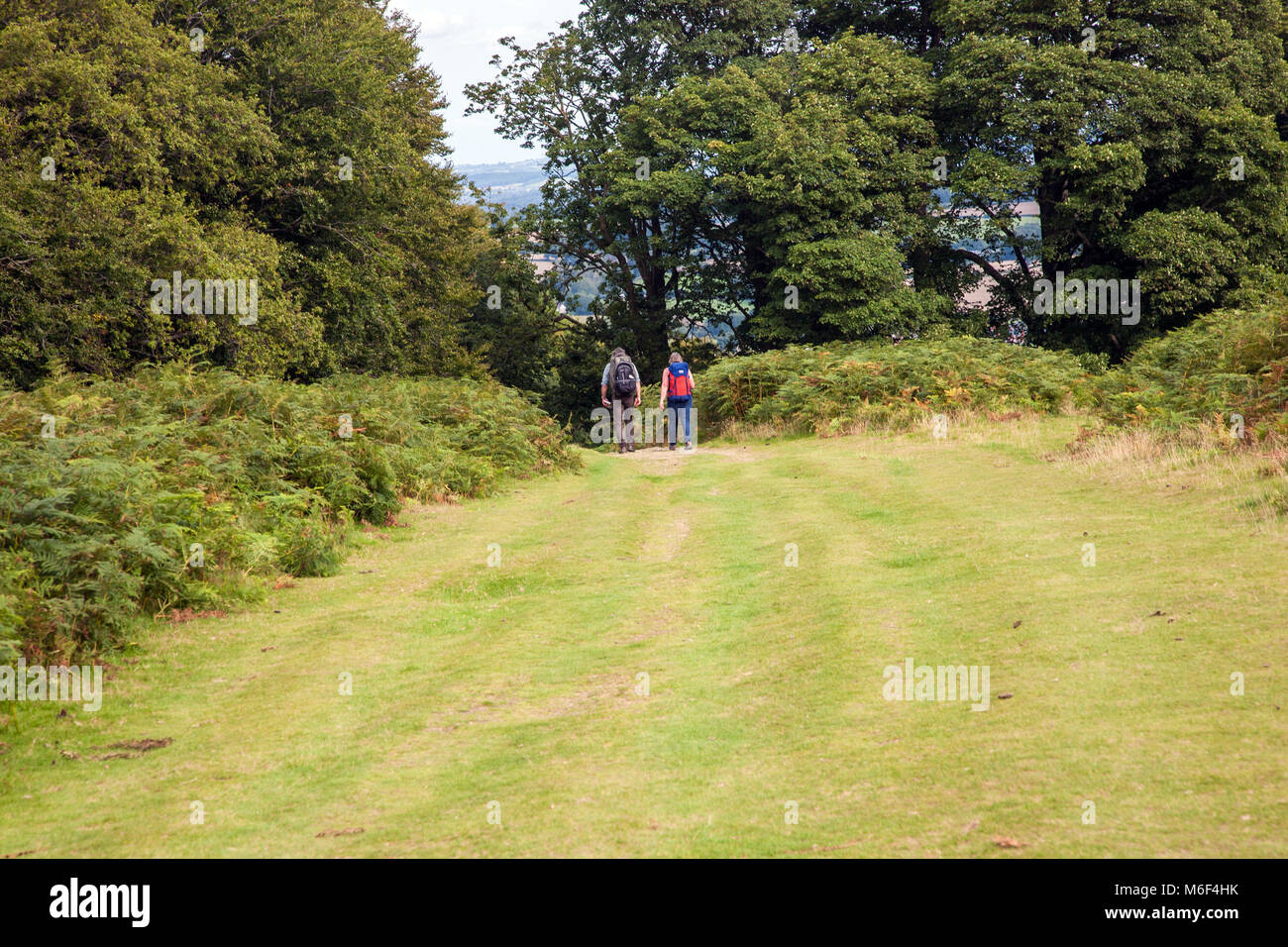 Men carrying backpacks / rucksacks walking off Hergest Ridge at Kington ...