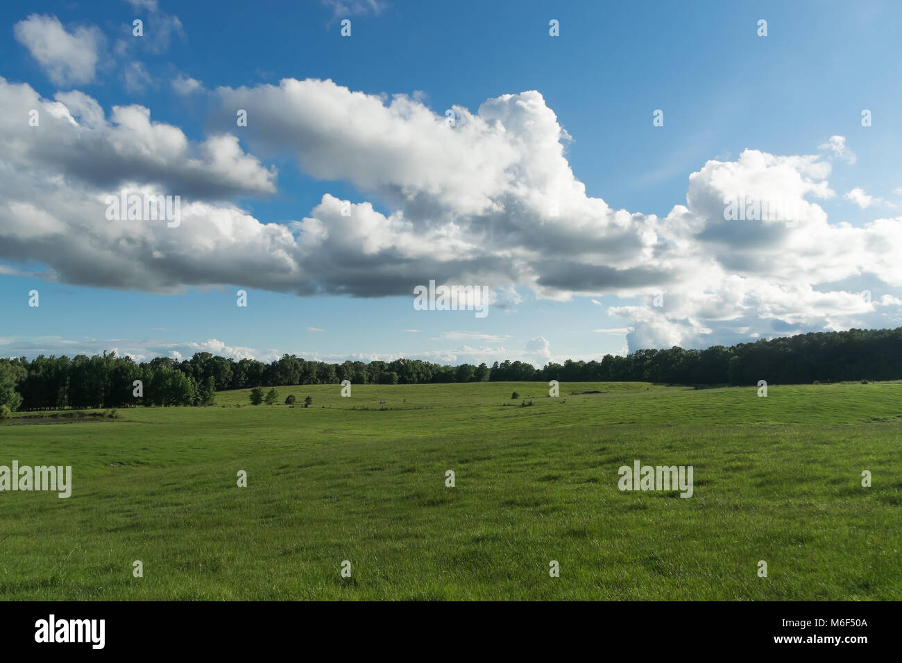 Rural mississippi hi-res stock photography and images - Alamy