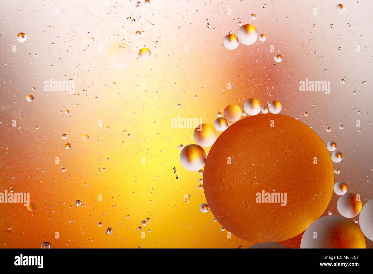 Oil bubbles in an aqueous medium on the border with a glass surface ...