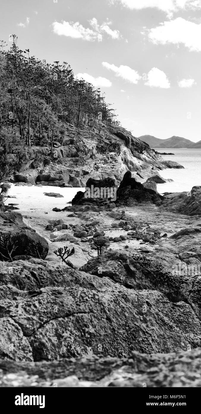 Whitehaven beach whitsunday island great barrier reef queensland Black ...