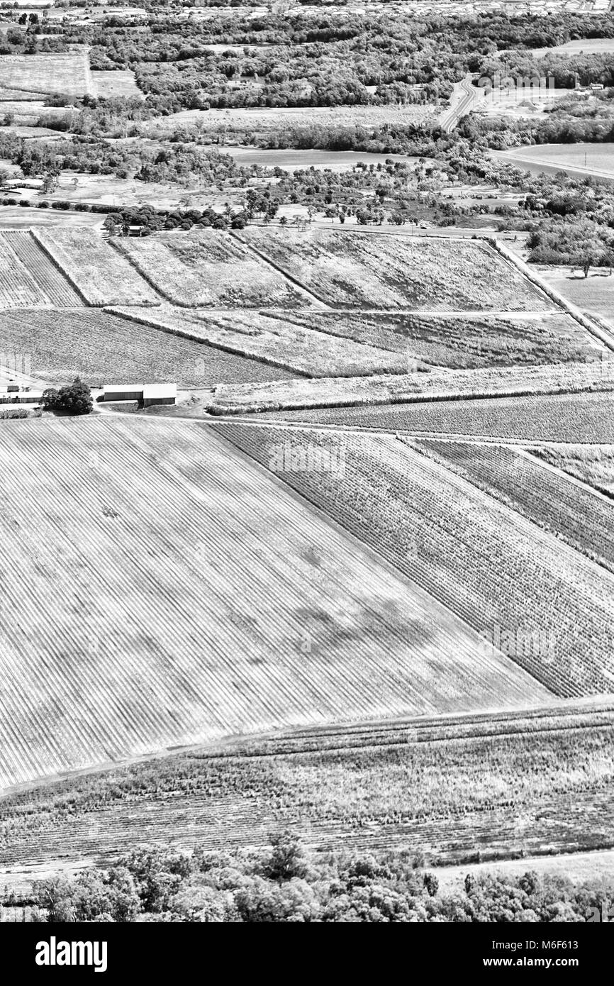 Corn field top view Black and White Stock Photos & Images - Alamy