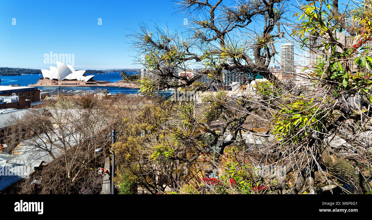 in australia sydney opera house the bay and the skyline of the city ...