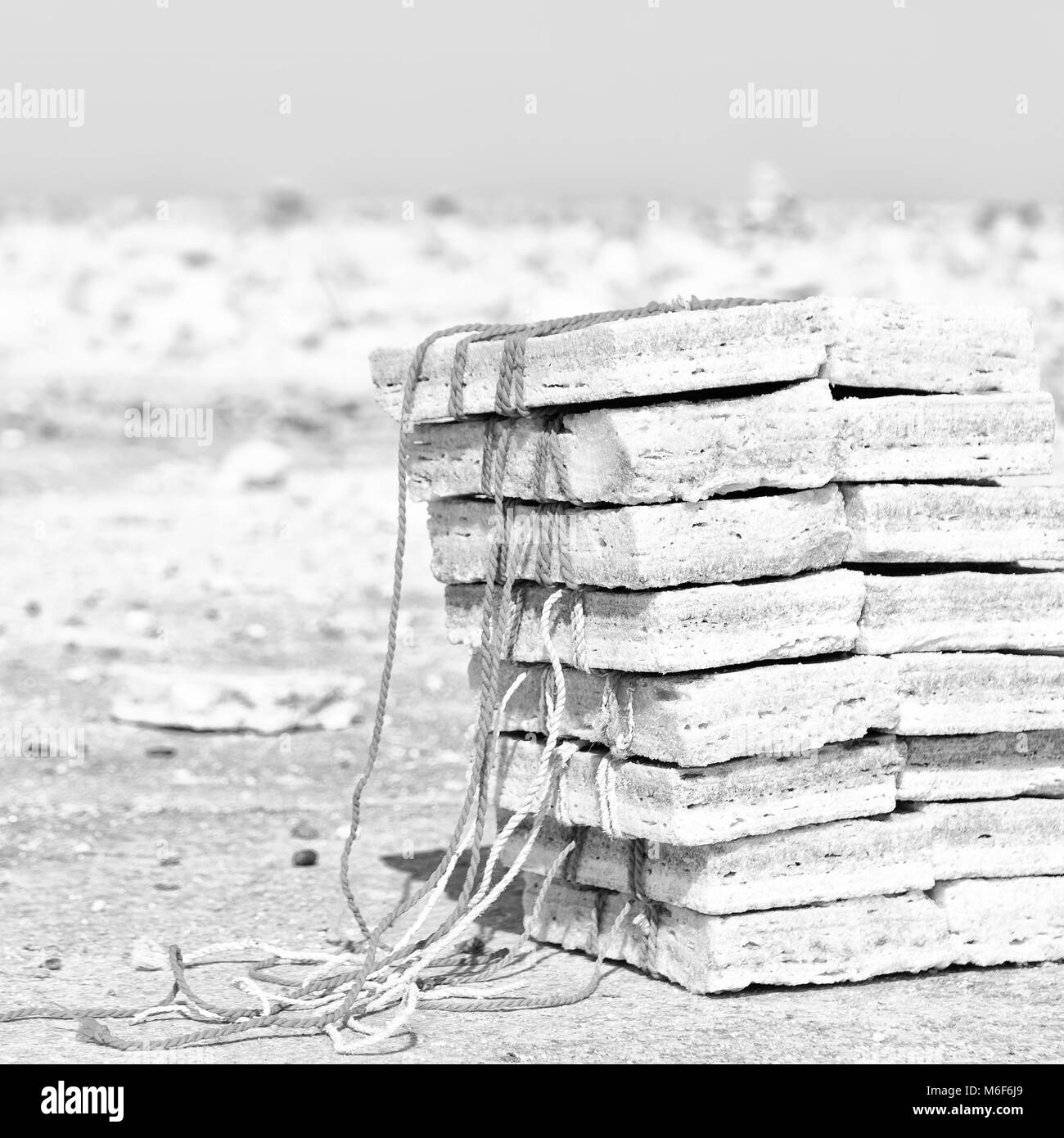 in danakil ethiopia africa the block of salt in the antique lake Stock ...