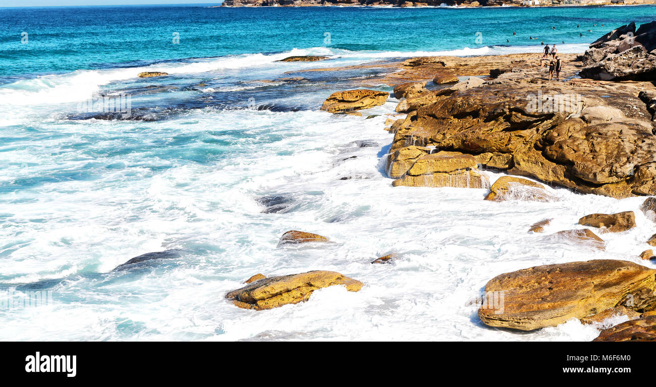 in australia sydney the bay the rock and the ocean near bondi beach ...