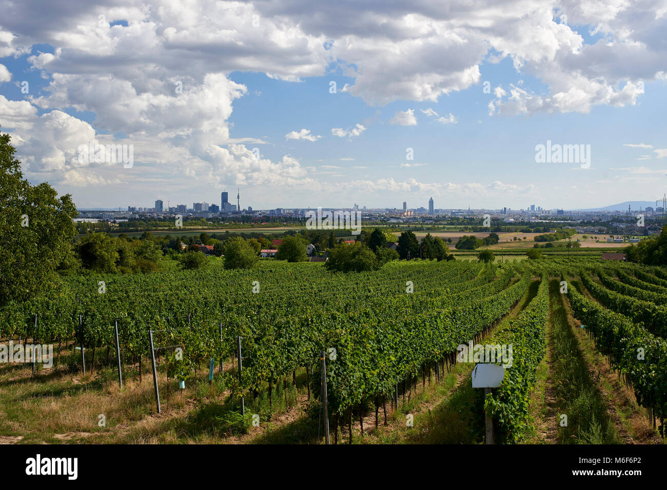Heuriger hi-res stock photography and images - Alamy