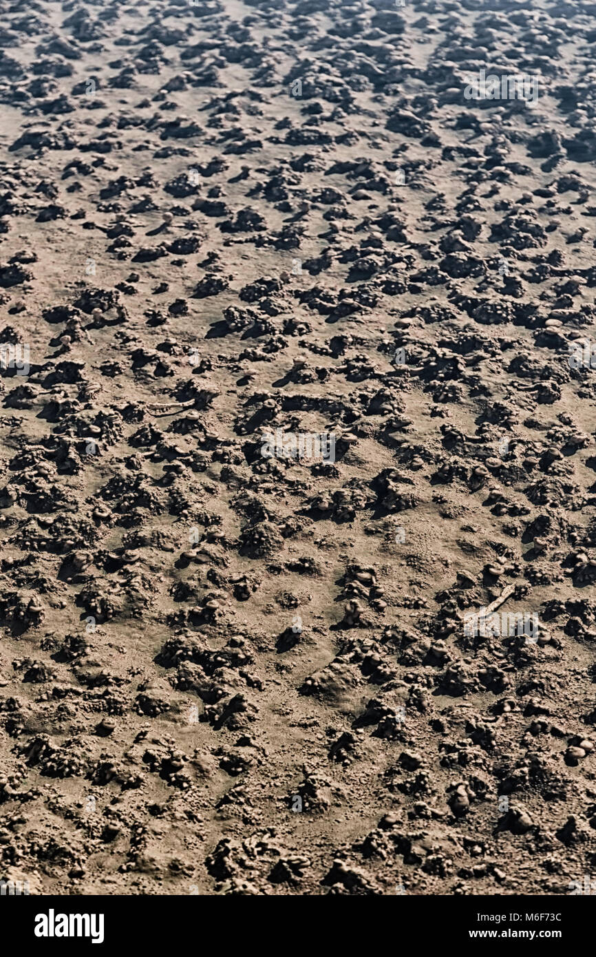 in danakil ethiopia africa the volcanic depression of dallol and pole ...
