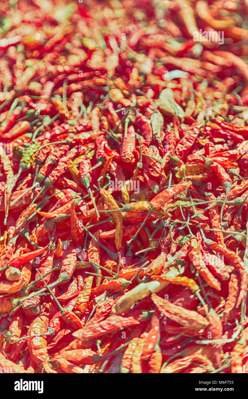 blurred abstract background texture of a chilli pepper in the market ...