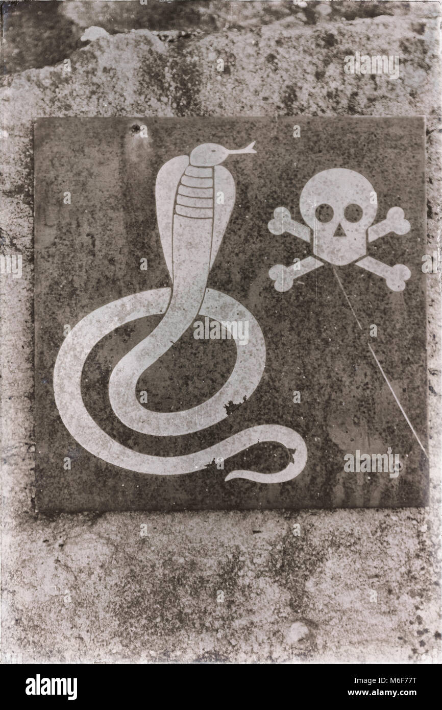 in south africa the metal signal of the danger for wild snake and the ...