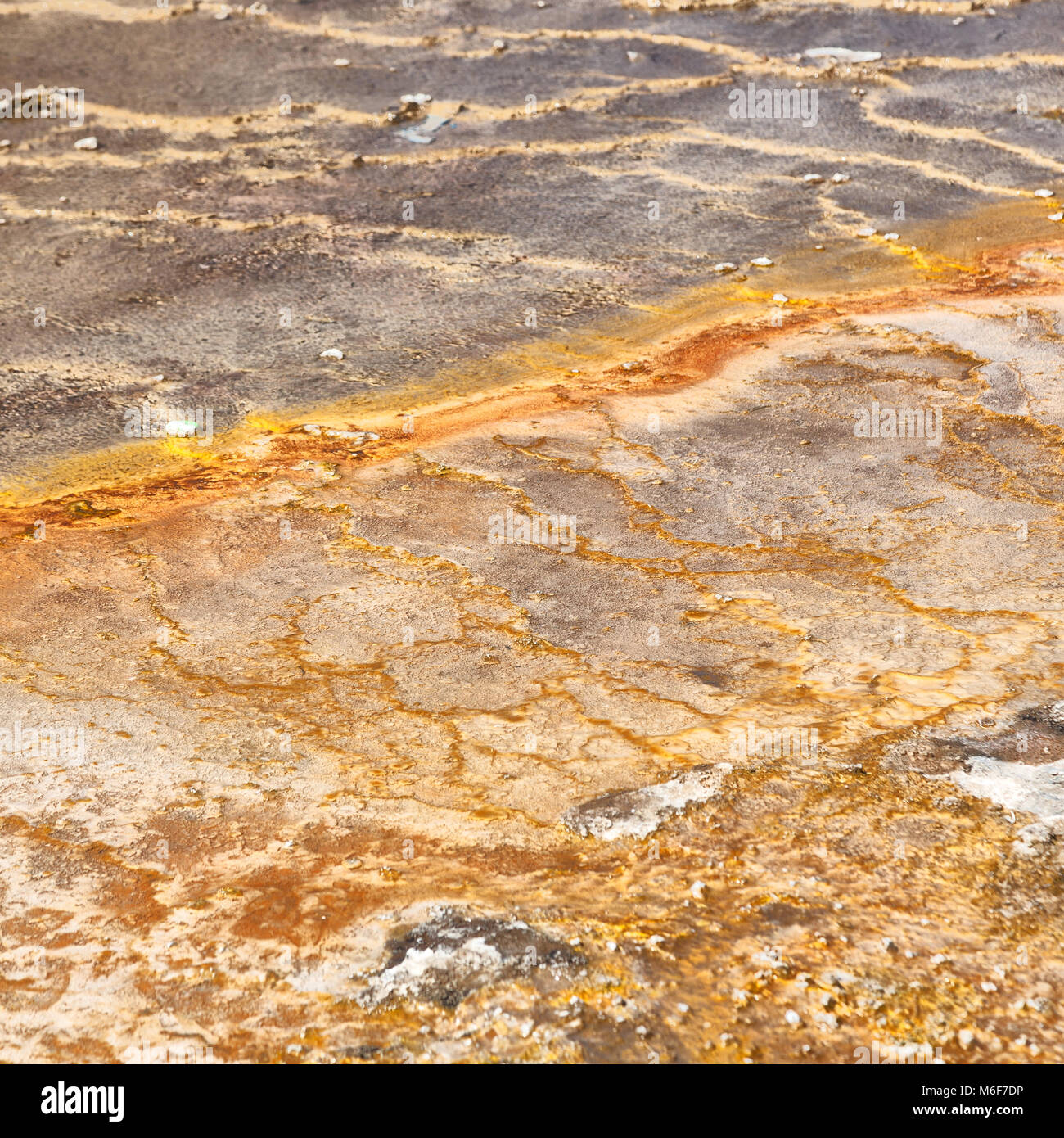 in danakil ethiopia africa the volcanic depression of dallol and pole ...