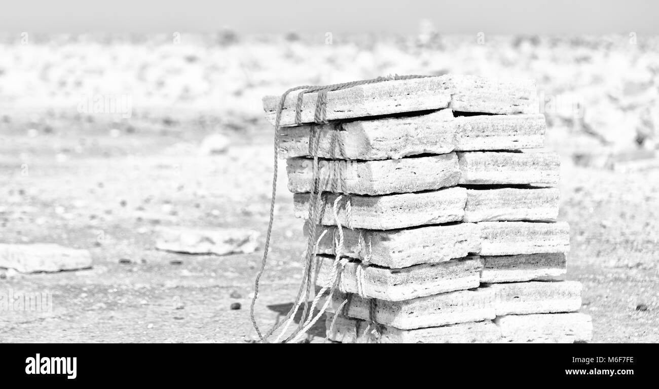 in danakil ethiopia africa the block of salt in the antique lake Stock ...