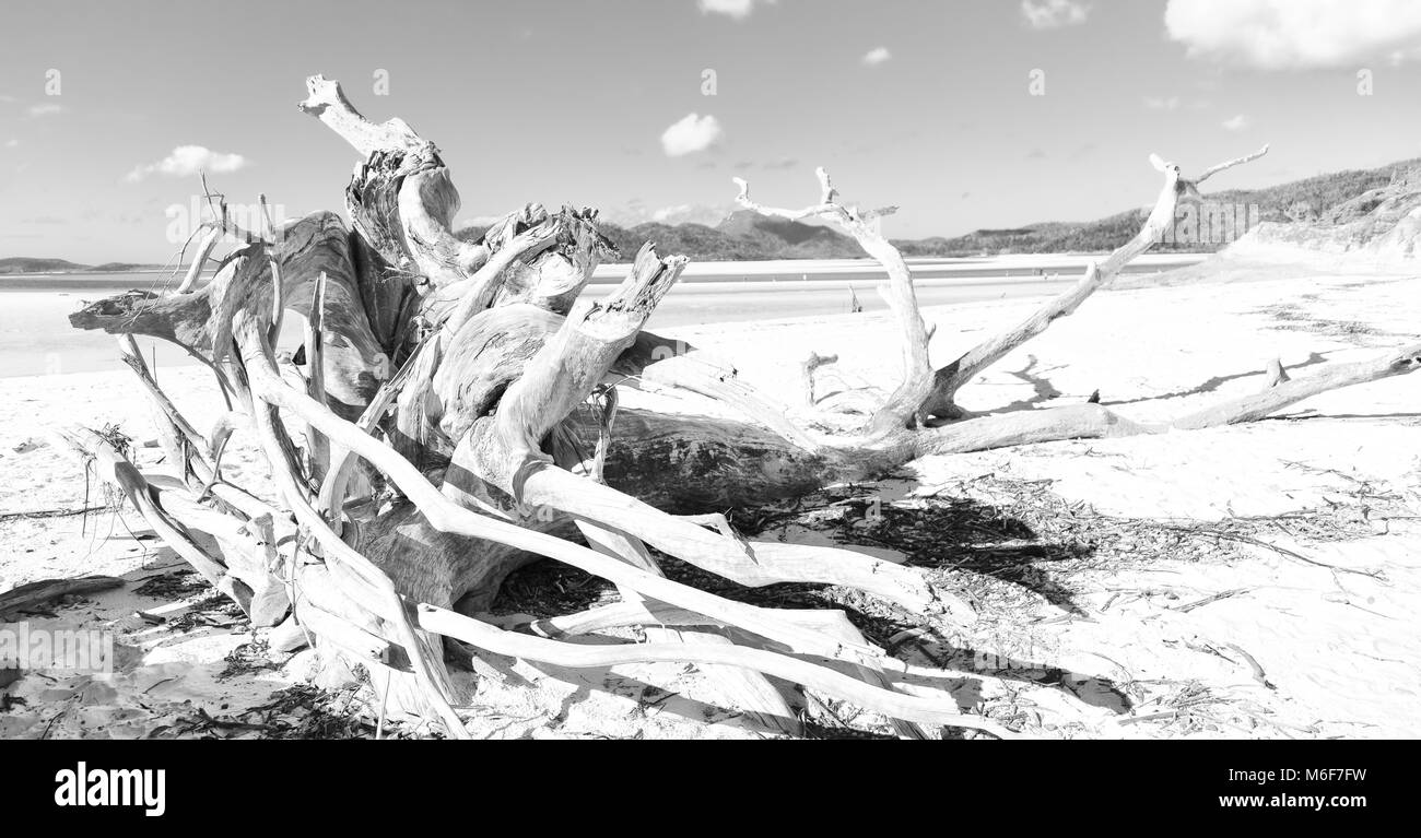 Australia queensland whitehaven beach whitsunday Black and White Stock ...