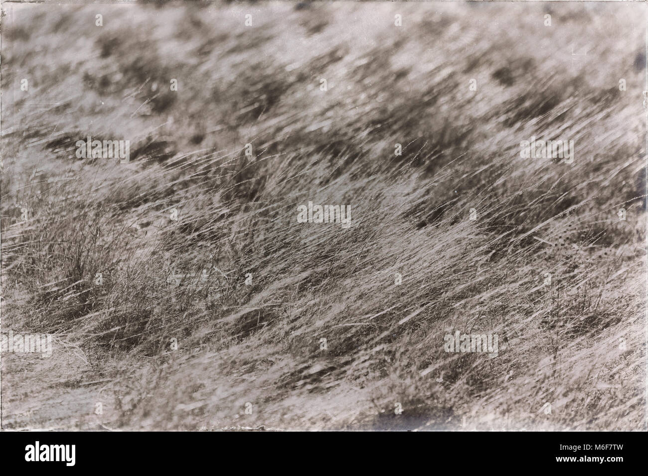 Asian rice fiels hi-res stock photography and images - Alamy