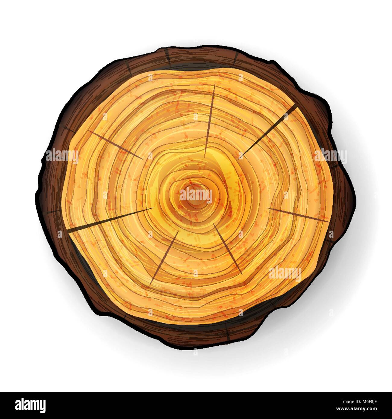 Tree Stump Vector