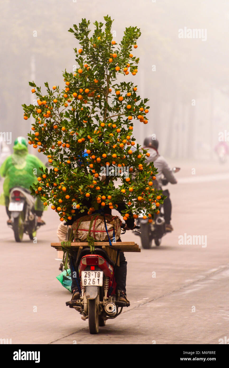 Scooter pollution hi-res stock photography and images - Alamy