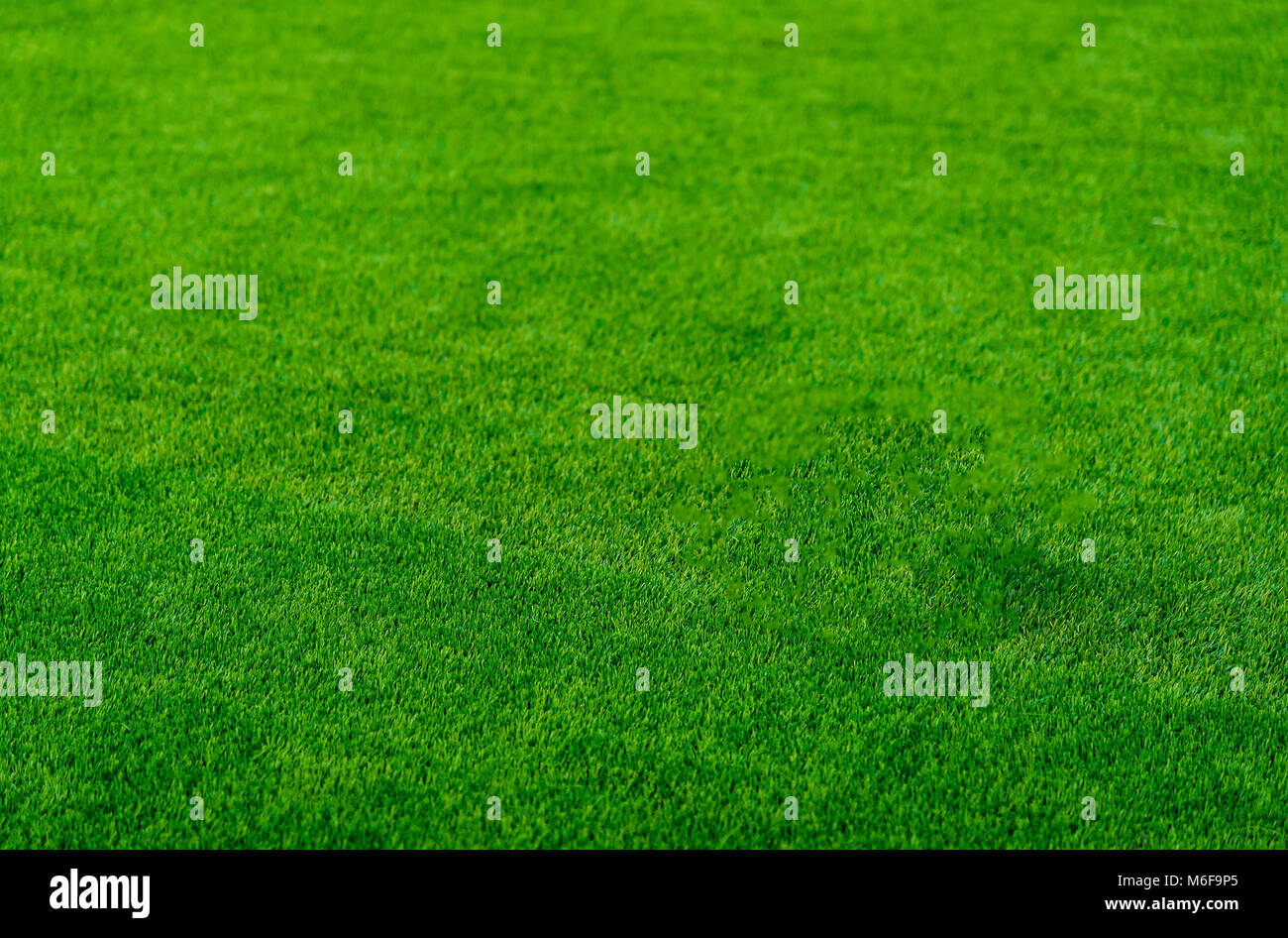 Soccer field natural grass hi-res stock photography and images - Alamy