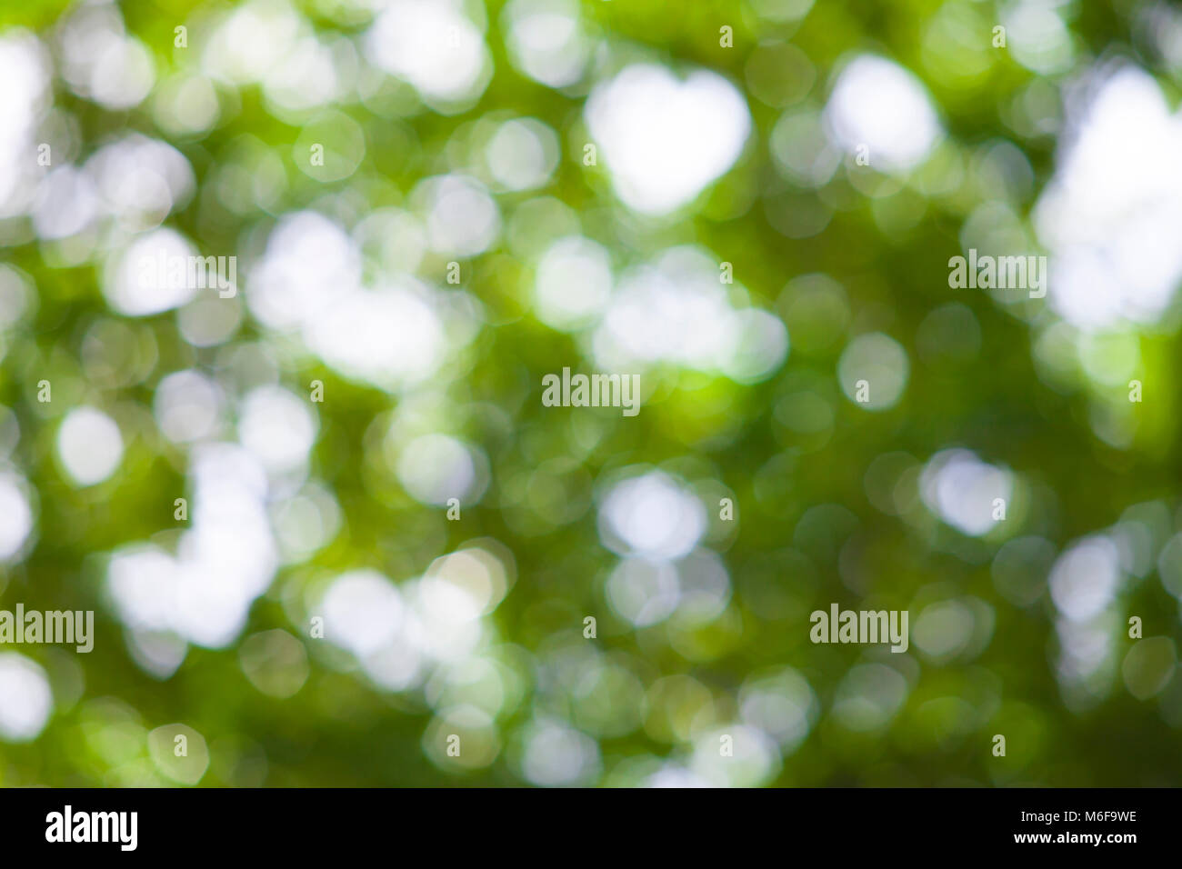 Green blur background, Abstract blurred texture Stock Photo - Alamy