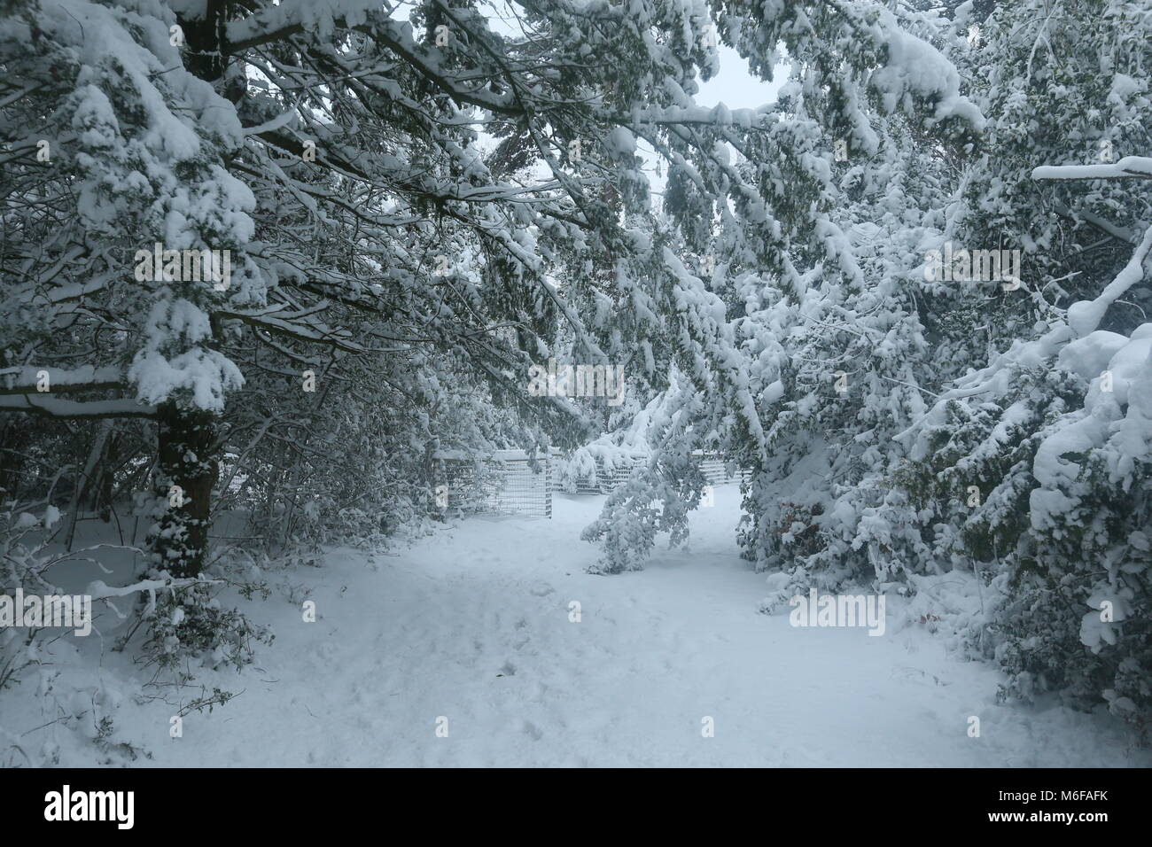 Dublin, Ireland. 3rd March 2018.Marlay Park in Dublin covered in snow ...
