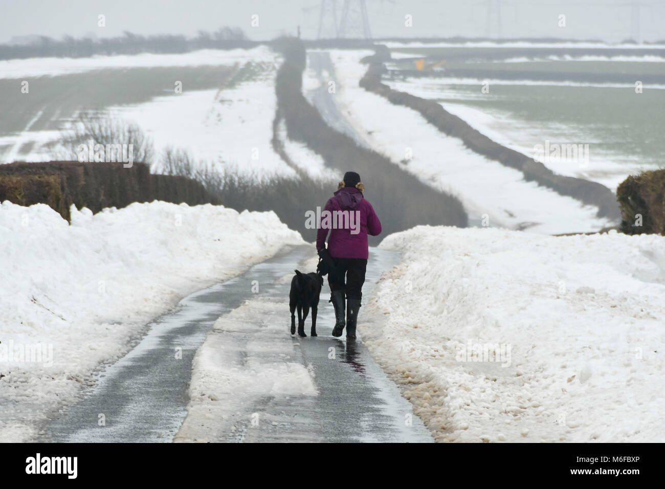 Compton Valence, Dorset, UK. 3rd March 2018. UK Weather. A dog walker ...