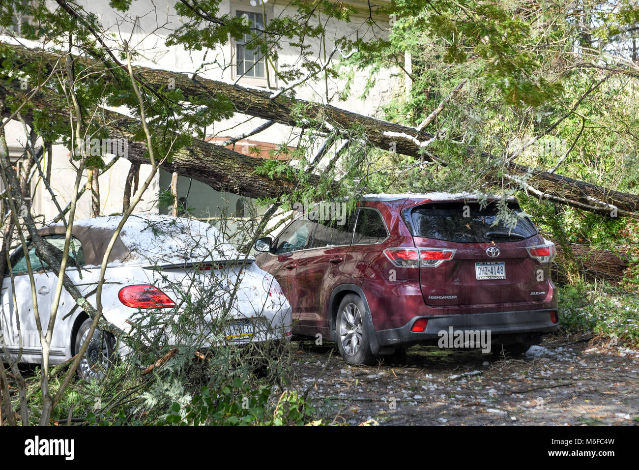 Car trees crushed hi-res stock photography and images - Alamy