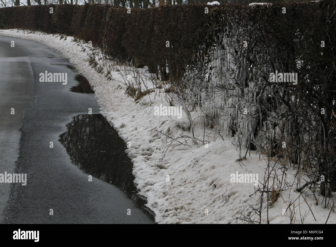 UK Weather - Frozen conditions in fields and hedgerows in North ...