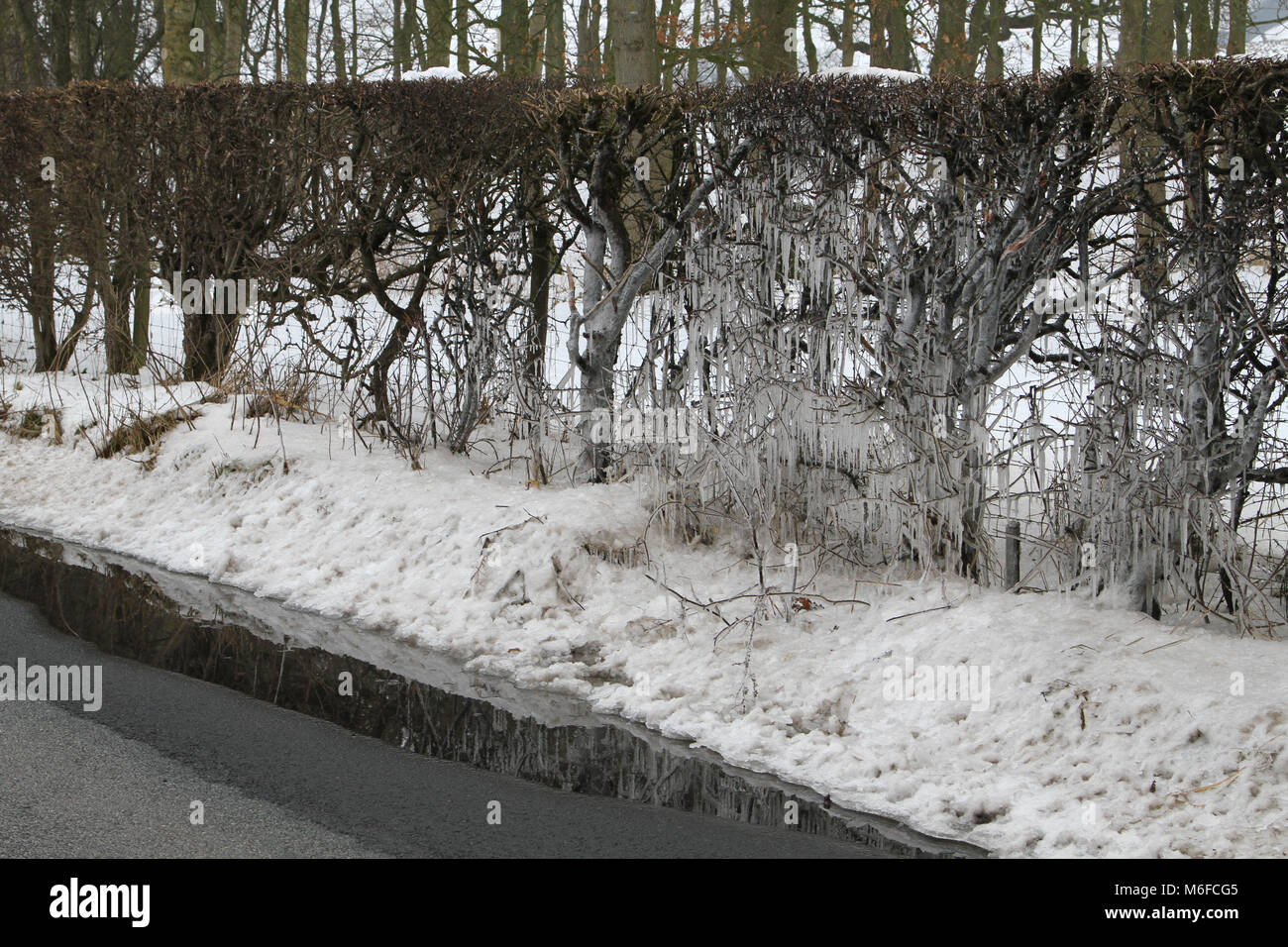 UK Weather - Frozen conditions in fields and hedgerows in North ...