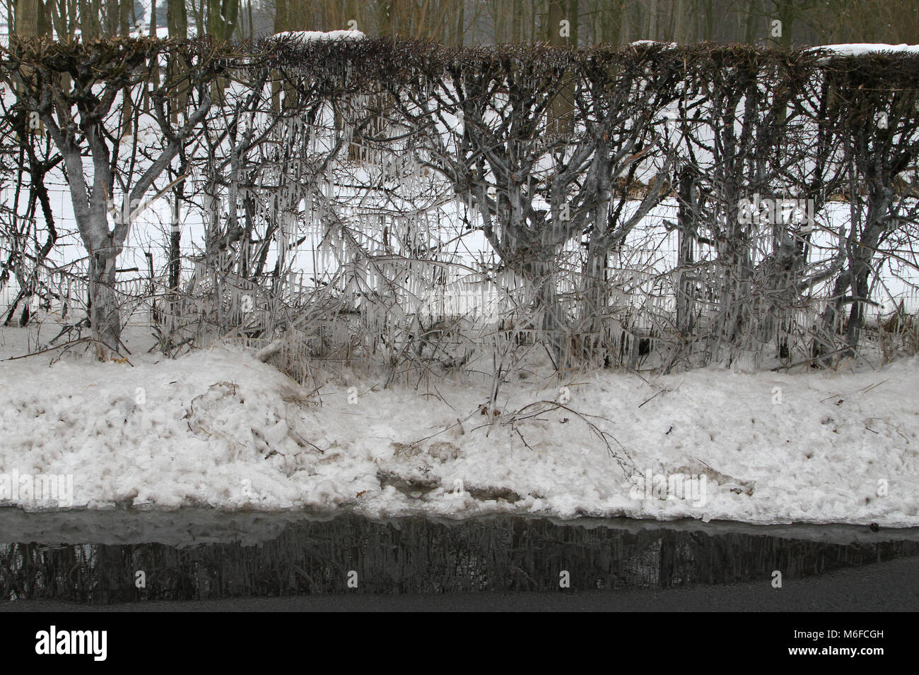 UK Weather - Frozen conditions in fields and hedgerows in North ...