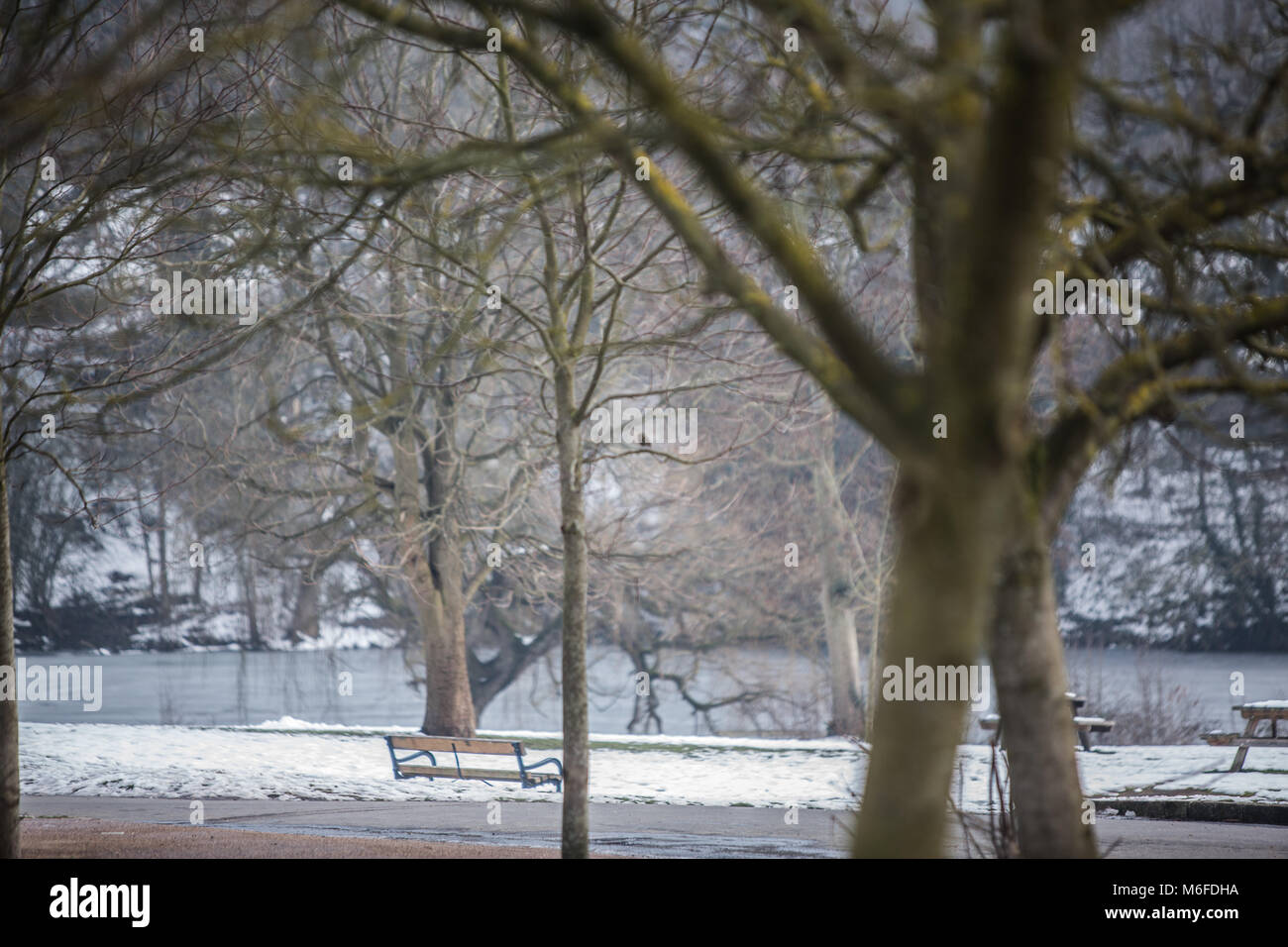 Maidstone, Kent. Mote Park, Maidstone, Kent. 3rd March 2018. - Credit ...
