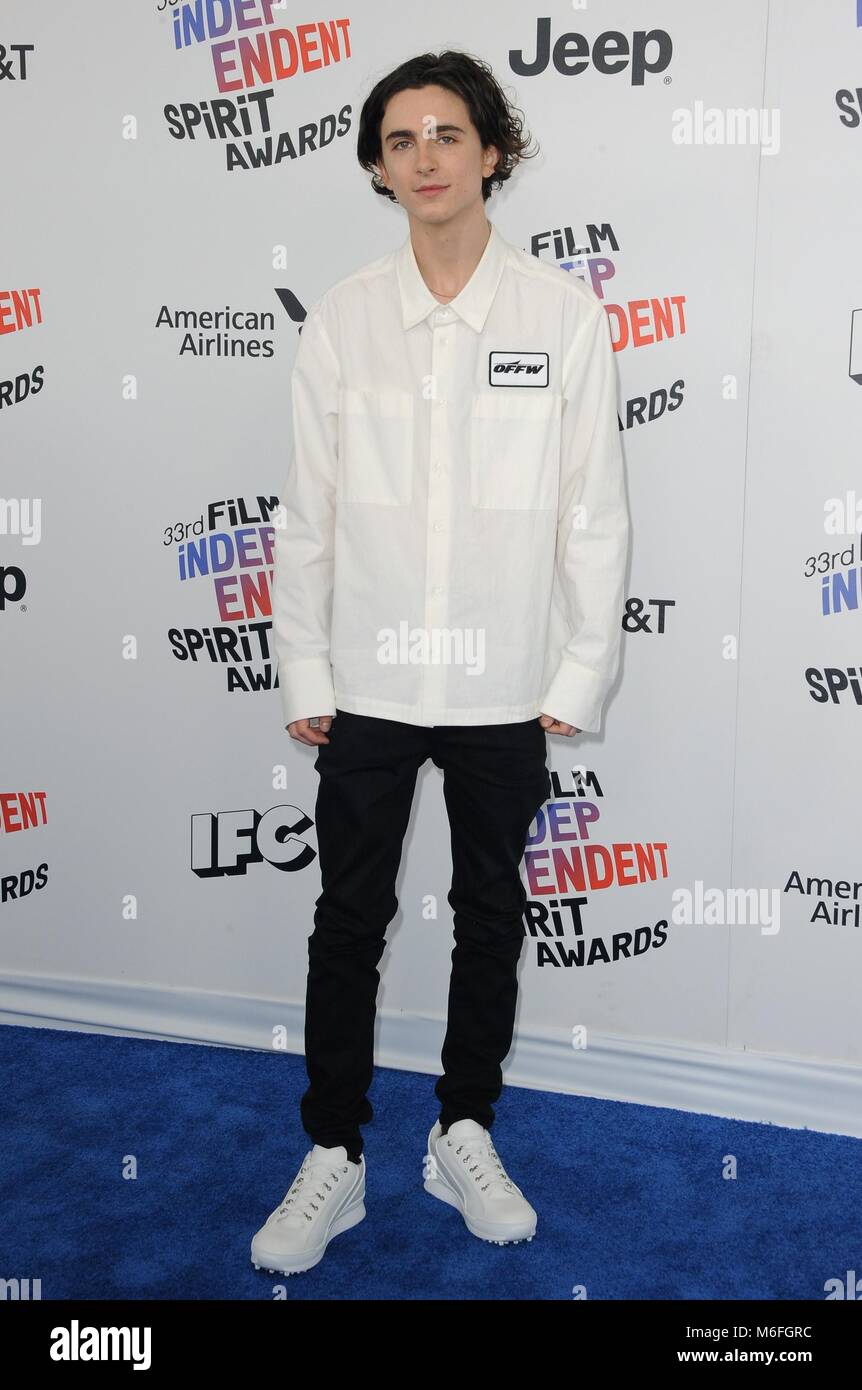 Santa Monica, CA. 3rd Mar, 2018. Timothee Chalamet at arrivals for 2018 ...