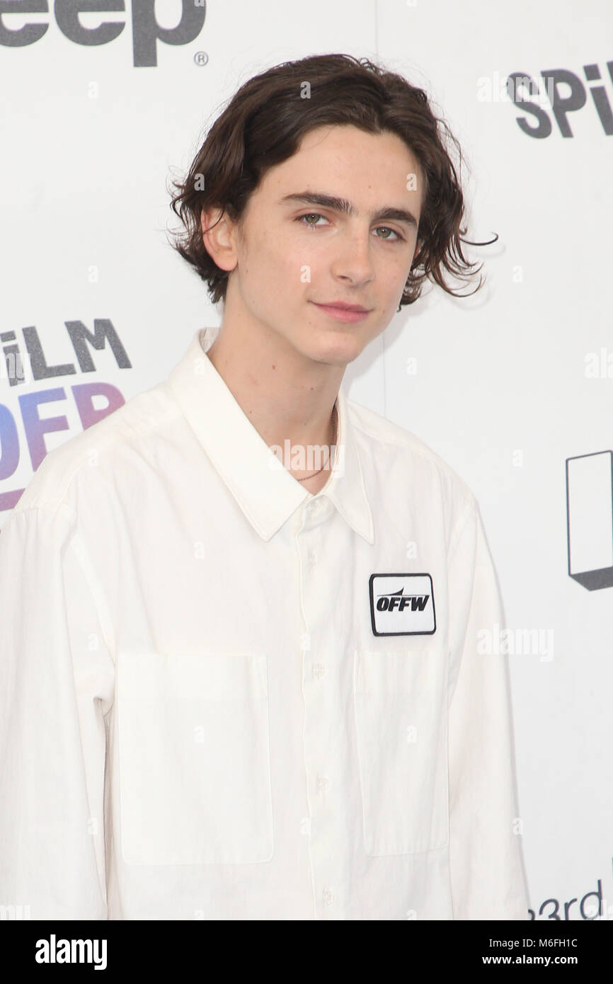 Santa Monica, Ca. 3rd Mar, 2018. Timothee Chalamet at The 33rd Annual ...