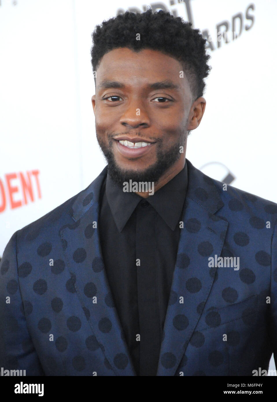SANTA MONICA, CA - MARCH 03: Actor Chadwick Boseman attends the 2018 ...