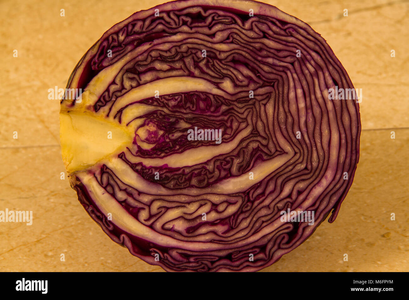 Red cabbage sliced in half Stock Photo - Alamy