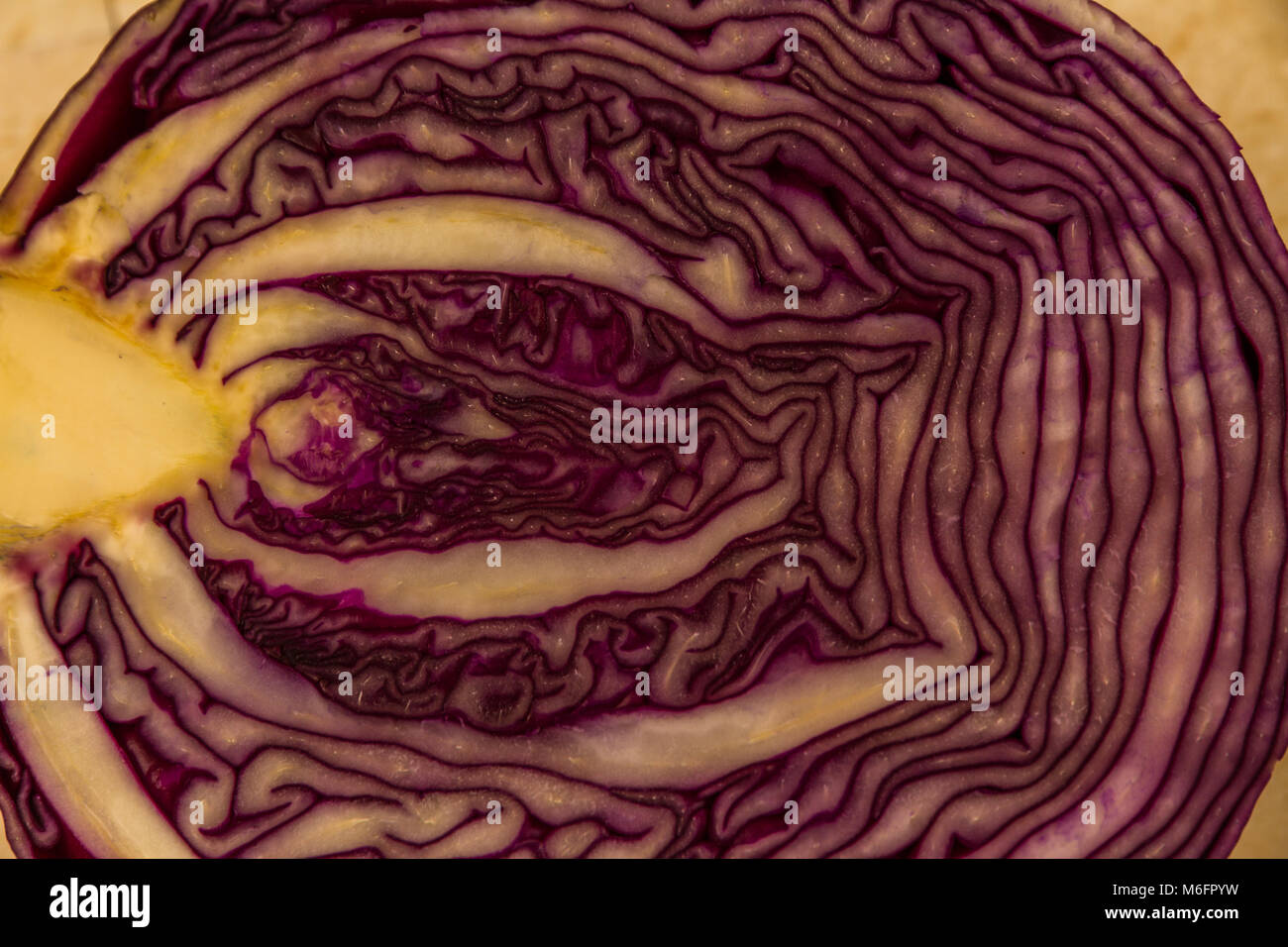 Red cabbage sliced in half, macro Stock Photo - Alamy