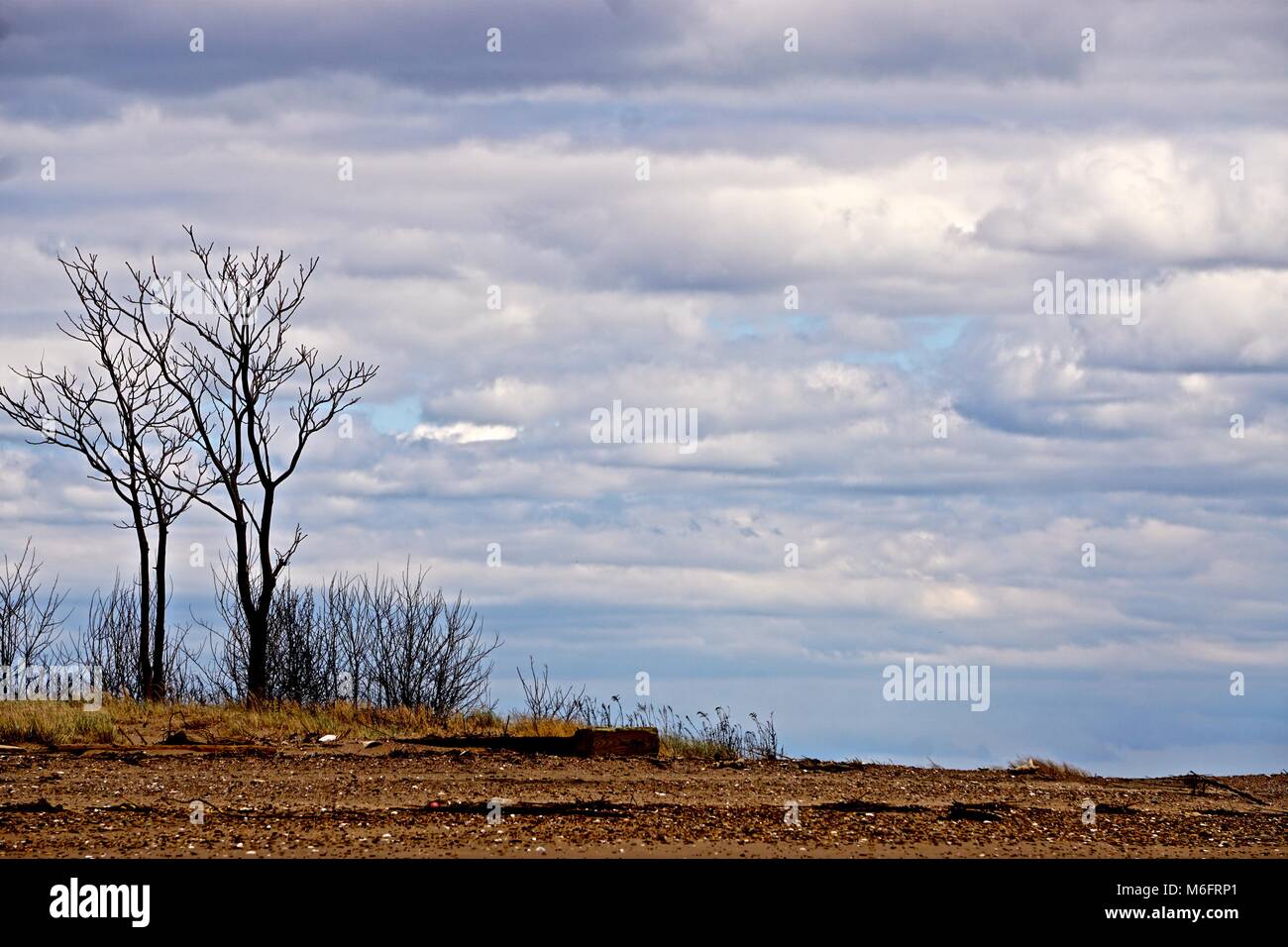 Tottenville beach hi-res stock photography and images - Alamy