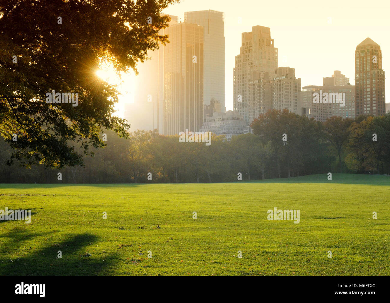 Central park at sunset, New York, USA Stock Photo - Alamy