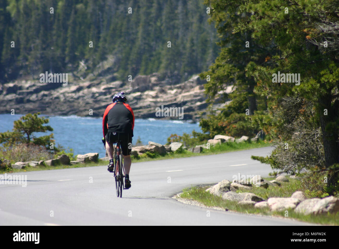 Acadia bicycle ride. Visitor bikes the27 mile Loop Road in Acadia NP ...