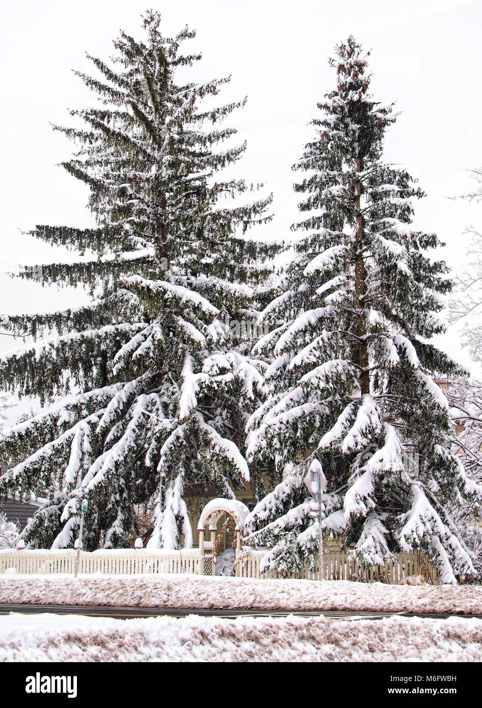 Hidden in trees hi-res stock photography and images - Alamy