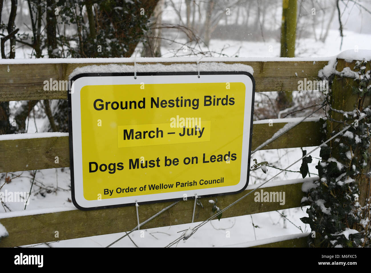 Birds nesting warning sign on hi-res stock photography and images - Alamy