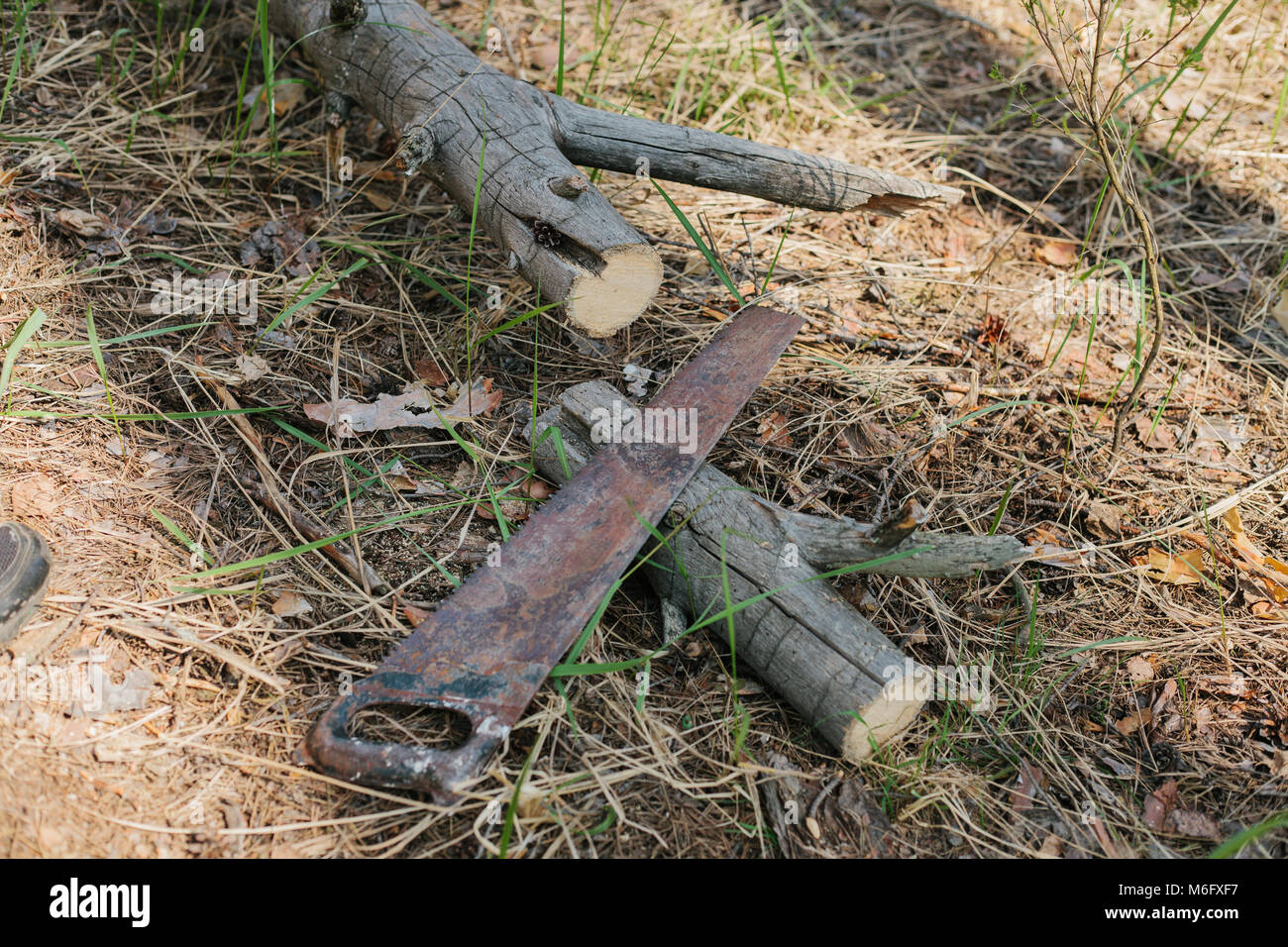 Timber extraction hi-res stock photography and images - Alamy