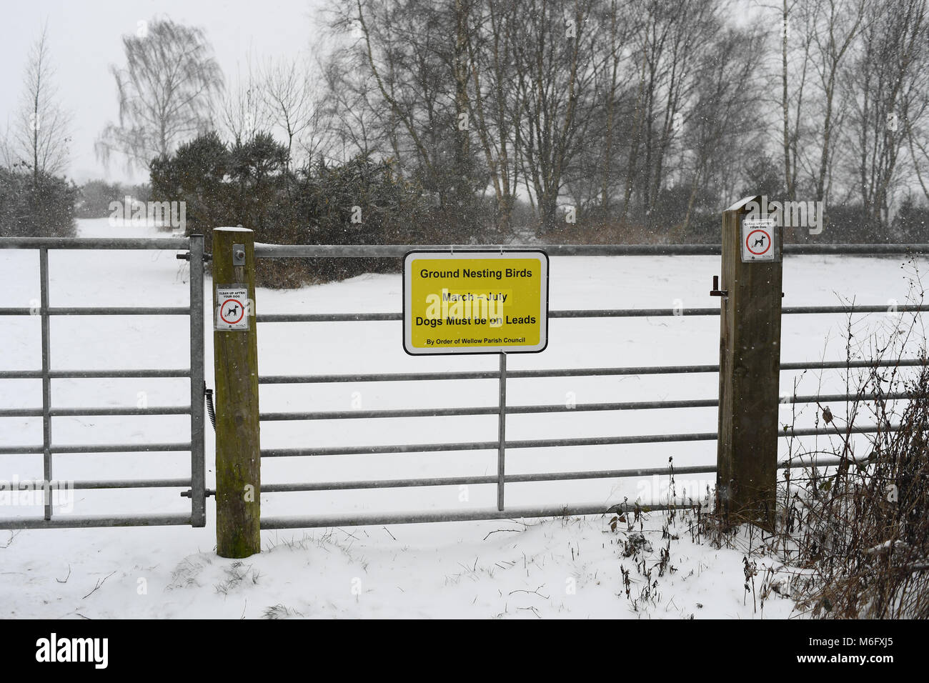 Birds nesting warning sign on hi-res stock photography and images - Alamy