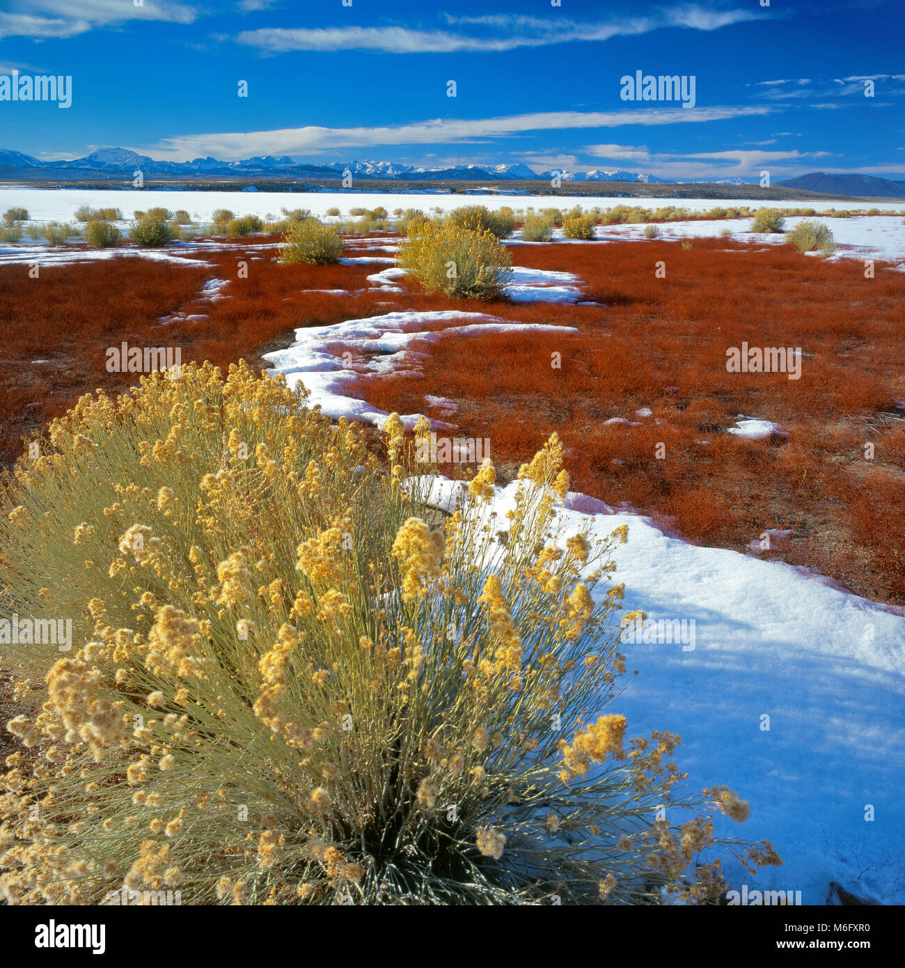 Crowley lake hi-res stock photography and images - Alamy
