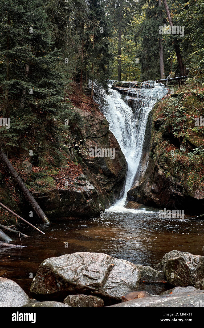 Waterfall in nature pine Scandinavian mountain forest in evening light ...