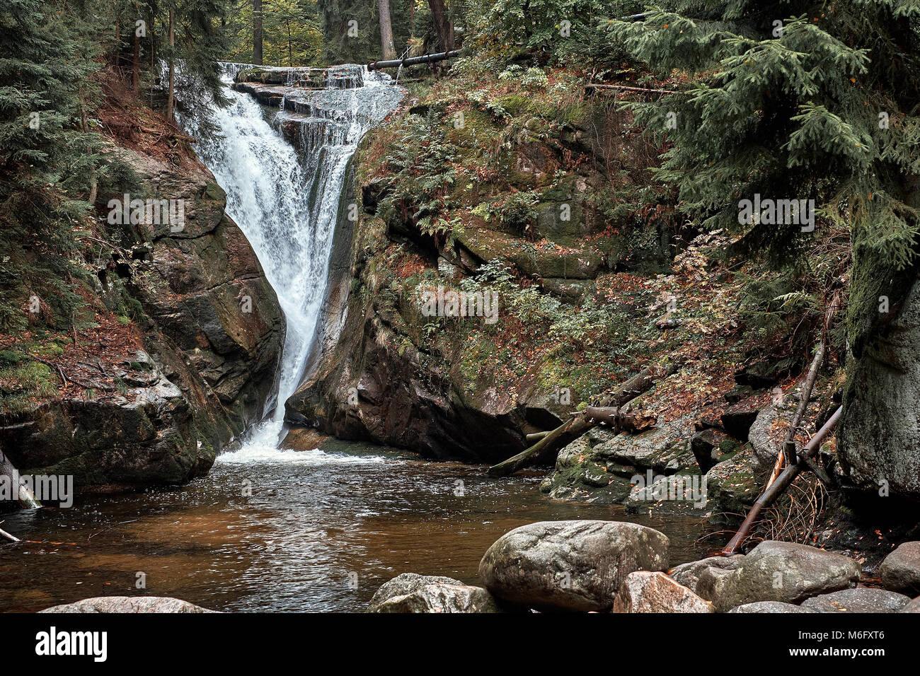 Waterfall in nature pine Scandinavian mountain forest in evening light ...