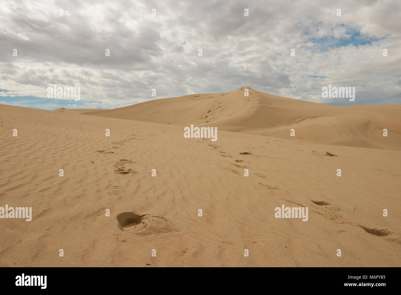 Cadiz Sand Dunes at Mojave Trails National Monument Stock Photo - Alamy