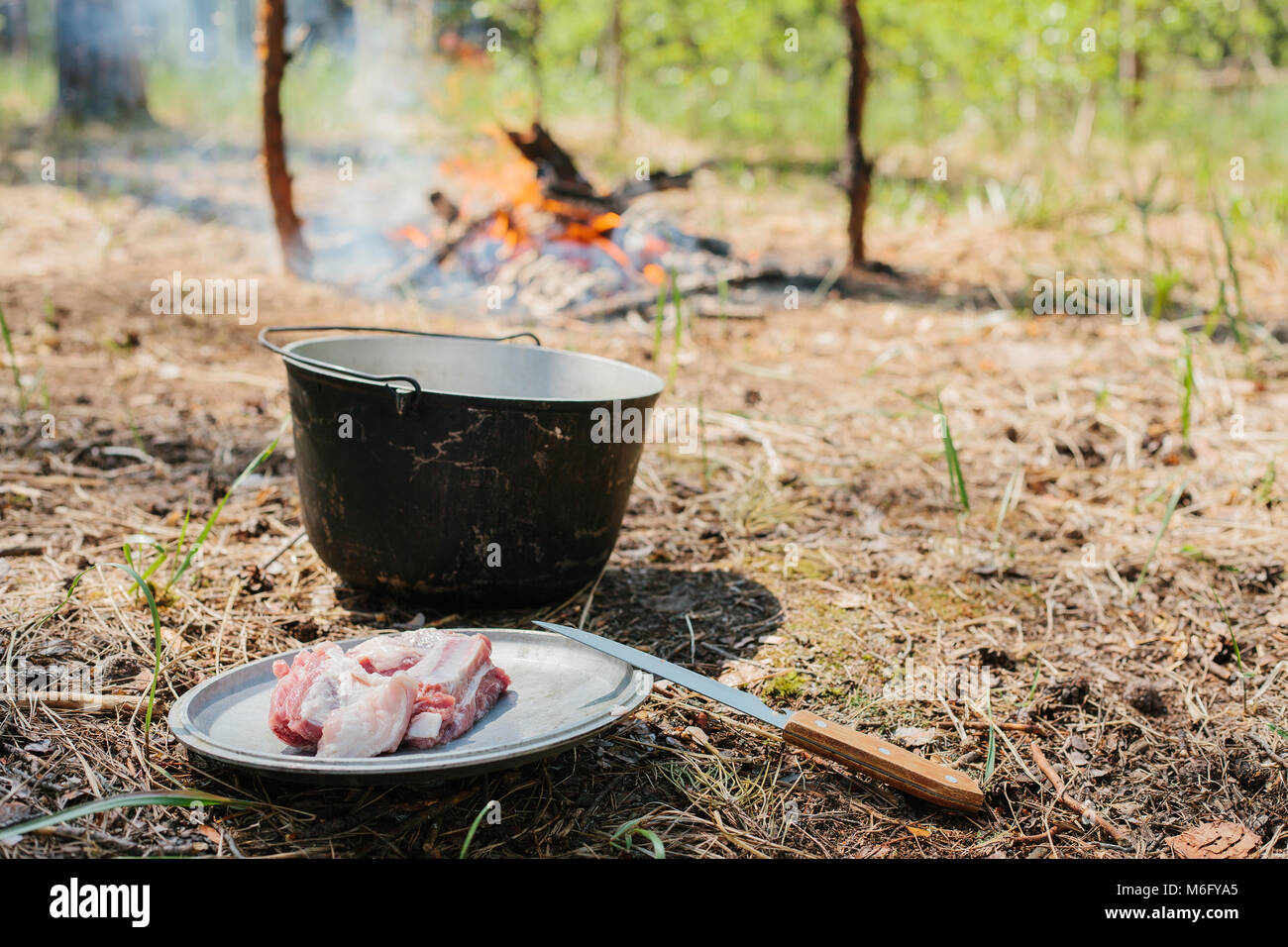 Cooking in the forest. Camping. Journey into the wild Stock Photo - Alamy