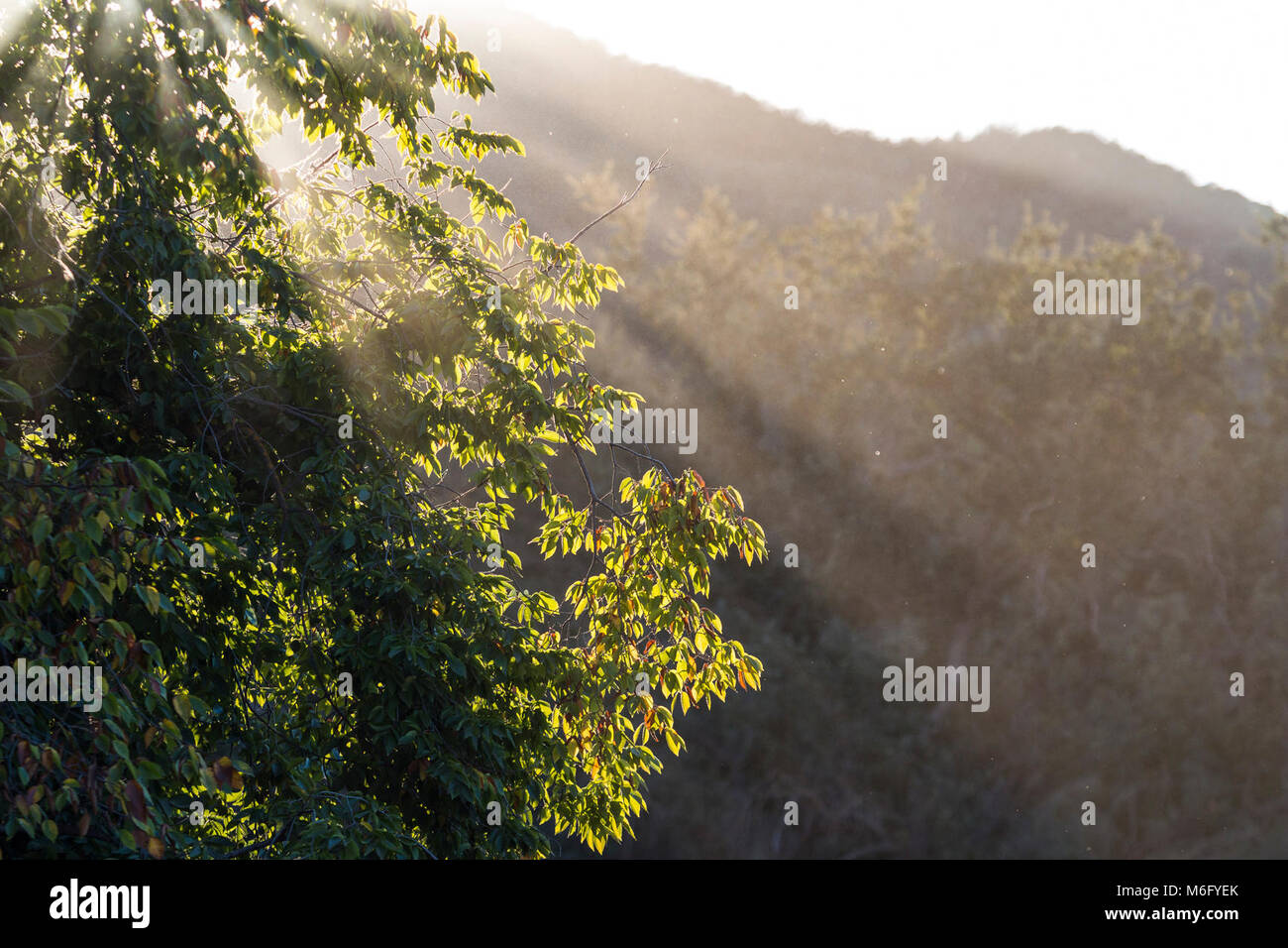 Car Show at Paramount Ranch Stock Photo - Alamy