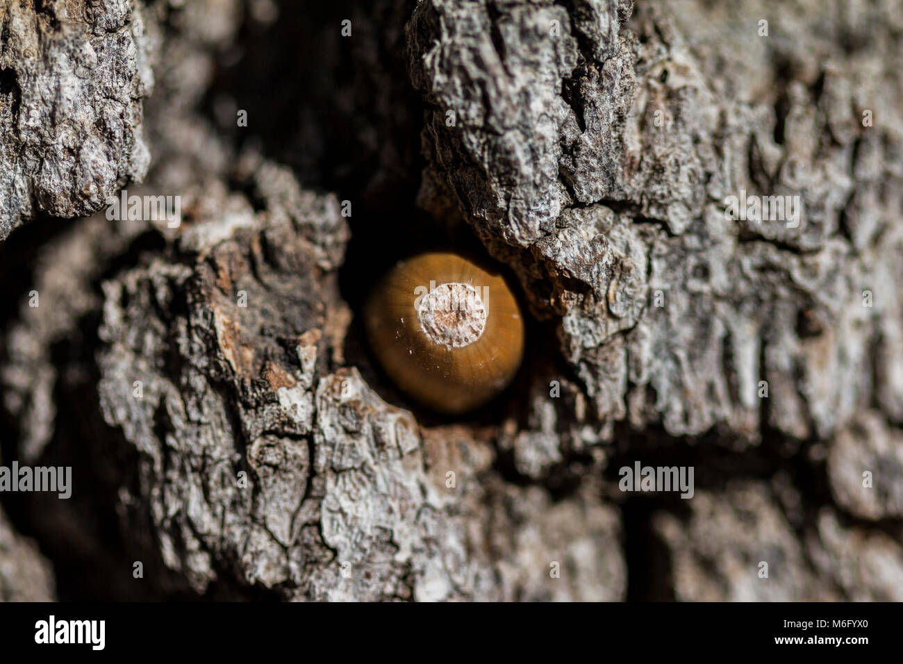 Cheeseboro hi-res stock photography and images - Alamy